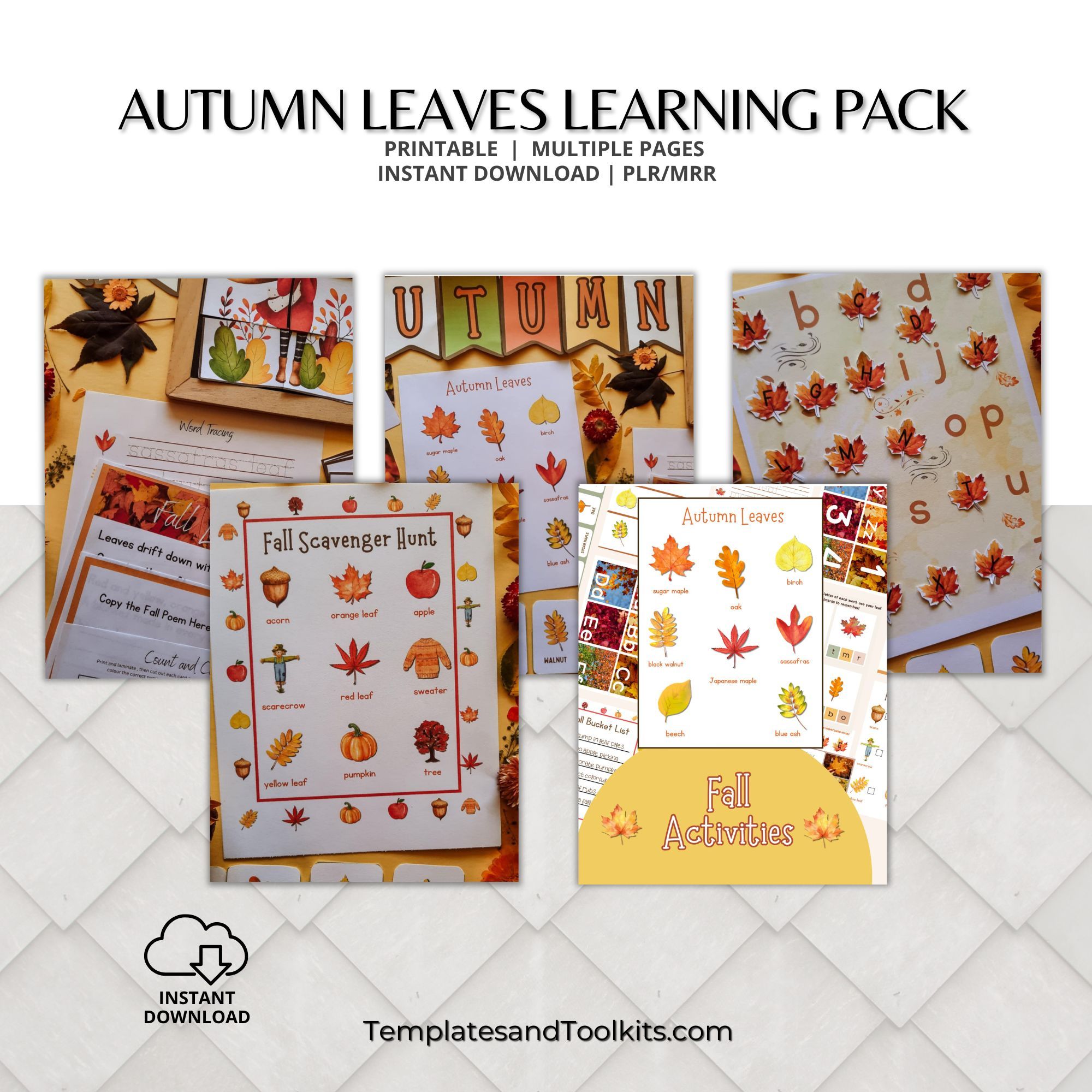 Autumn Leaves Learning Pack with PLR/MRR Rights